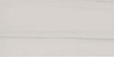 Nature Dolomite Porcelain Wall and Floor Tile - 12 x 24 in. - The Tile Shop