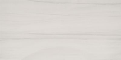 Nature Dolomite Porcelain Wall and Floor Tile - 24 x 48 in. - The Tile Shop