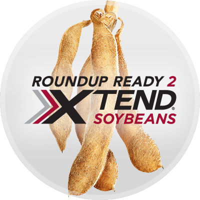 Roundup Ready® Xtend Crop System | Advanced Weed Control Technology ...