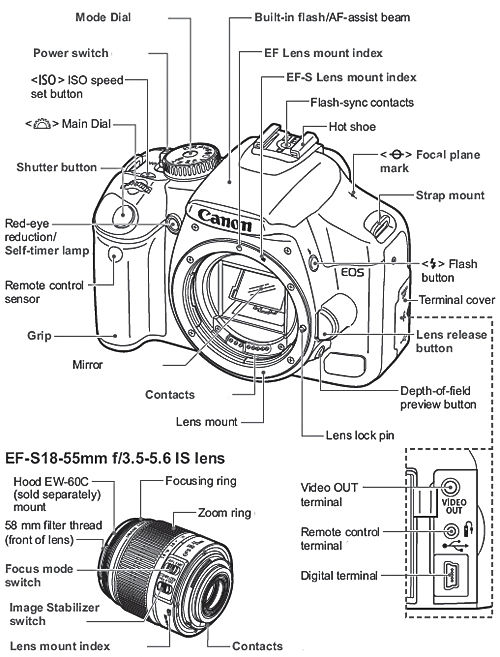 Understanding the Parts and Controls of the EOS Digital Rebel XSi
