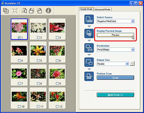 Scanning Film (8400F)