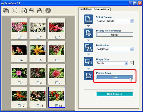 Scanning Film (8400F)