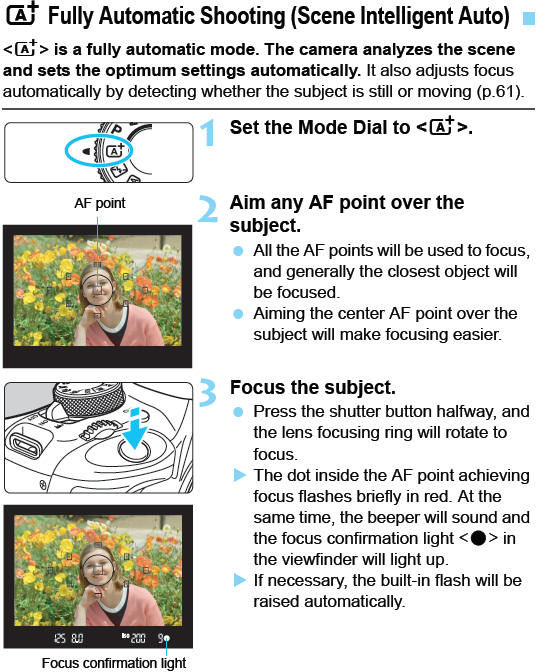 [A+] Fully Automatic Shooting (Scene Intelligent Auto)