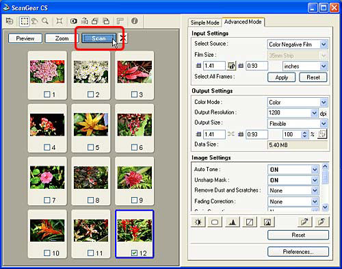 Scanning Film (8400F)