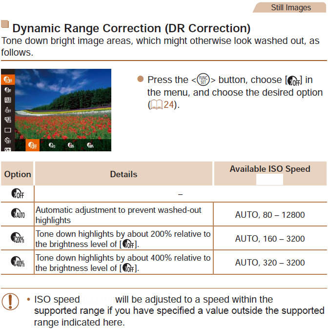 Dynamic Range Correction (DR Correction)