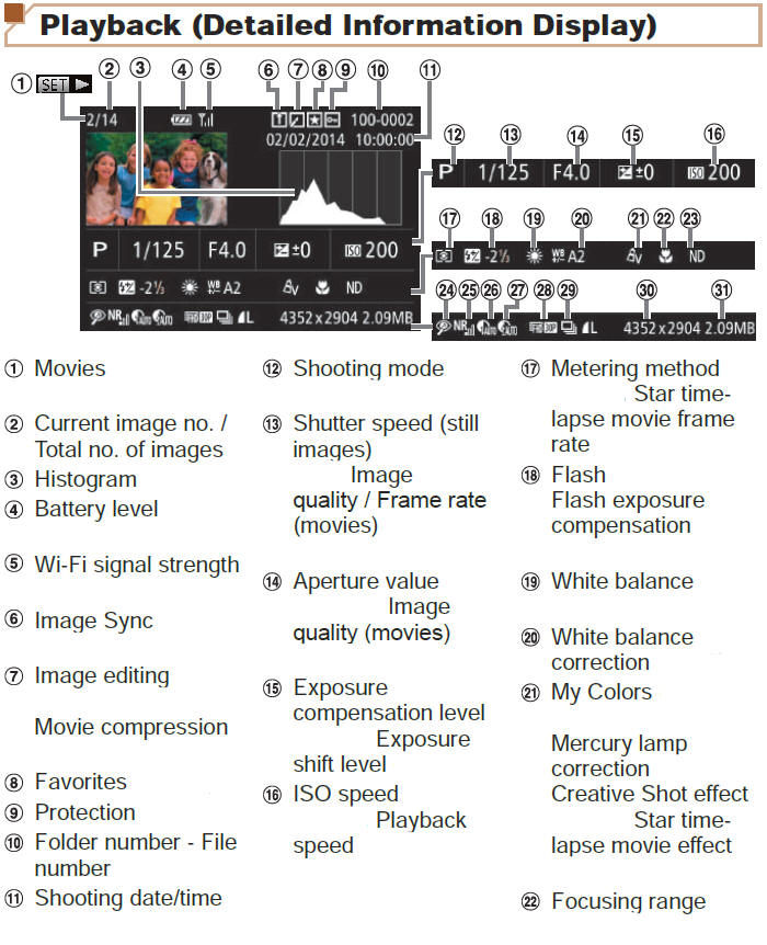 Playback (Detailed Information Display Icons)