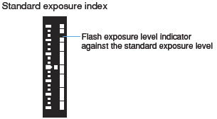 How to use the Metered Manual Flash Exposures on the EOS 1Ds
