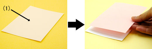 Paper handling instructions for avoiding paper feed issues