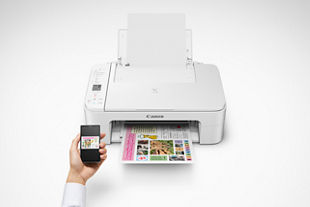 Canon ts3120 store