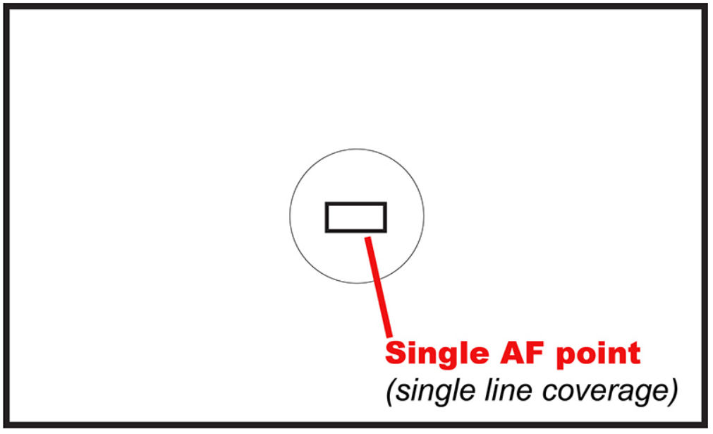 What Is Cross-type AF?