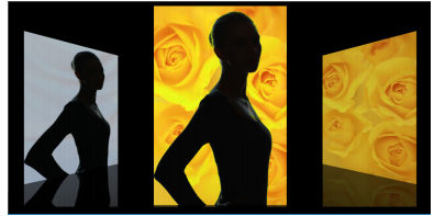 QuickGuide to EOS Multi-exposure Mode