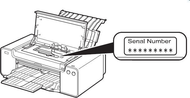 Locate the Serial Number on Your PIXMA Pro-1