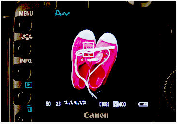 QuickGuide to EOS Live View Features