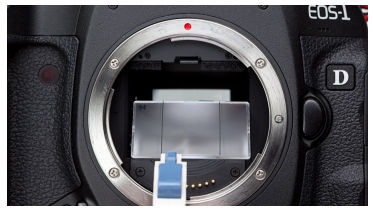 QuickGuide to EOS Focusing Screens