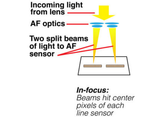 EOS-1D X and EOS 5D Mark III "High-precision" and cross-type AF points