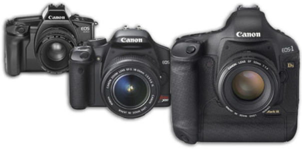 Back-Button Auto Focus Explained