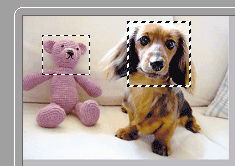 Cropping images with the scanner driver