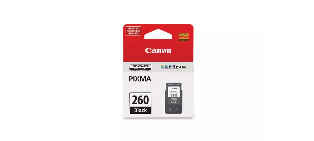 Canon 260 ink store