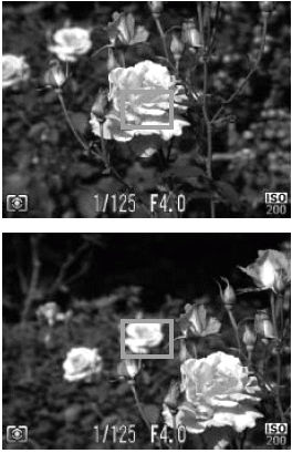 Recomposing Shots While the Focus is Locked