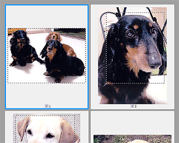 How to Adjust Cropping Frames