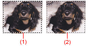 How to Adjust Cropping Frames