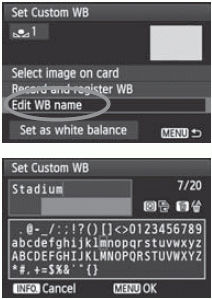 Naming the Custom WB Data