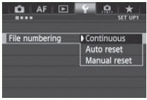 File Numbering Methods