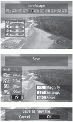 Processing RAW Images with the Camera