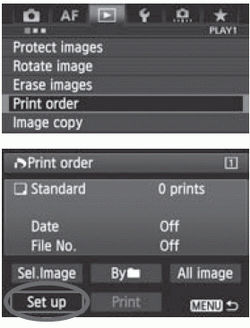 Digital Print Order Format (DPOF)