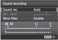 Setting the Sound Recording