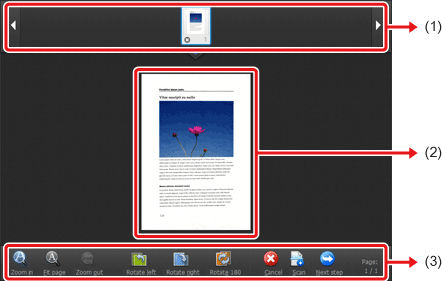 Operation in Continuous Scanning Screen (P-208)
