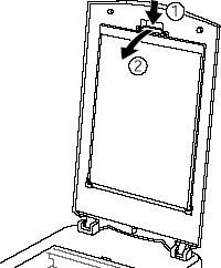 Setting up the scanner to scan film (8400F)