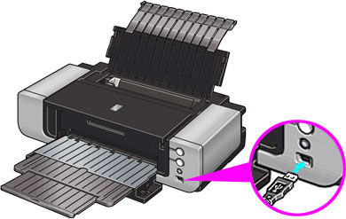 Printing directly from a digital camera - Pro9000
