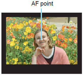 Fully Automatic Shooting (Scene Intelligent Auto) on the EOS Rebel T100