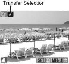 DPOF transfer Order options for the PowerShot E1.