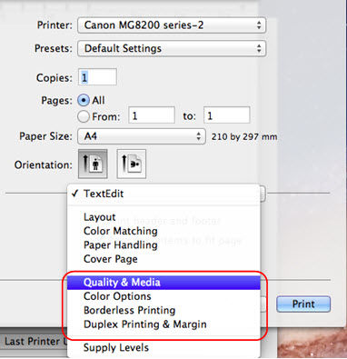 Select canonijnetwork printer driver