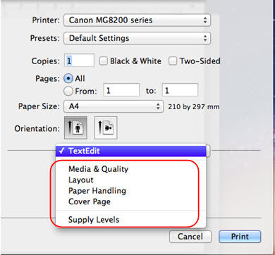Select canonijnetwork printer driver