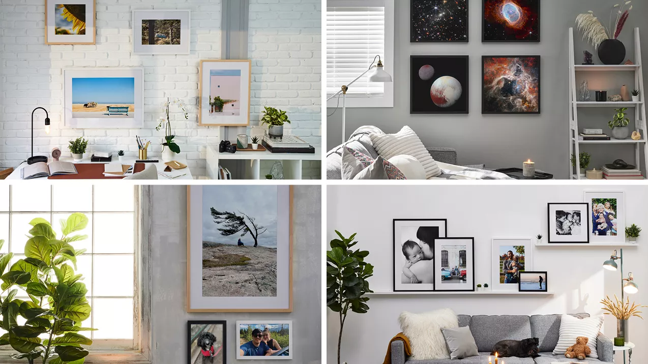 Canon Frame Lab - Custom Framing Made Simple