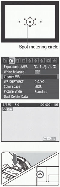 How to set a custom white balance on the EOS 5D. Mk II