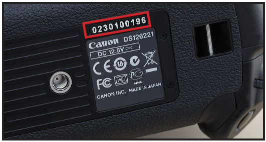 Serial number location on Cinema EOS products