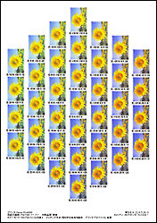 Printing with the customized color and brightness using Easy-PhotoPrint Pro