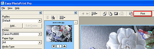 Basic printing from Easy-PhotoPrint Pro