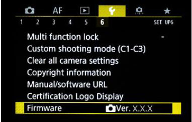 How do I install the firmware update for my camera?