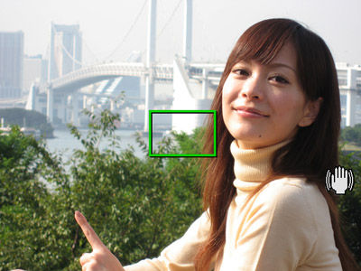 Tips for focusing the camera and focusing techniques.