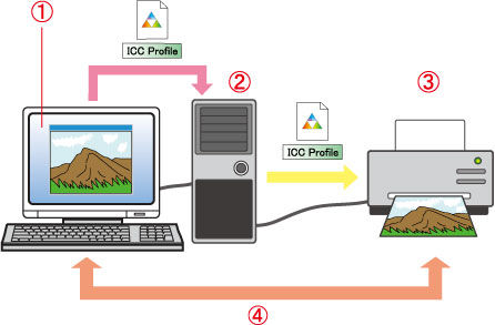 How to set the color matching with Digital Photo Professional Ver.3.10.