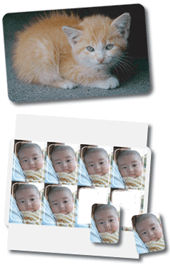 Available Paper Sizes (SELPHY CP800)