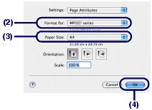 Printing from the Computer - MP240