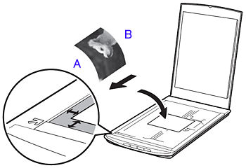 Scanning using the MP Navigator EX (5600F, LiDE 100, LiDE 200)
