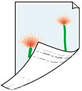 Perform Bottom Plate Cleaning - MG5320