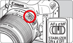 How to shoot using Live View on the EOS Digital Rebel XS.